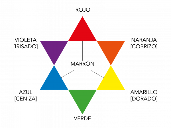 3. COLOR – Anea Techline